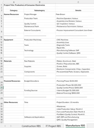 What Is Resource Breakdown Structure: Examples, Template, Tips & More